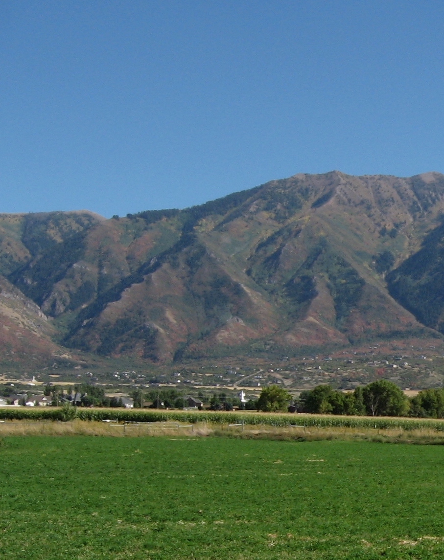 Damage Restoration in Elk Ridge UT - Complete Restoration